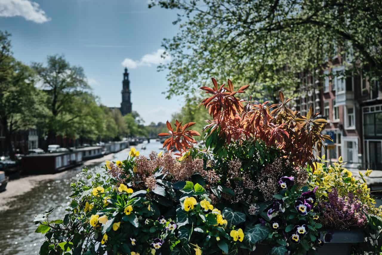 Climate and nature - Grachtenmuseum Amsterdam